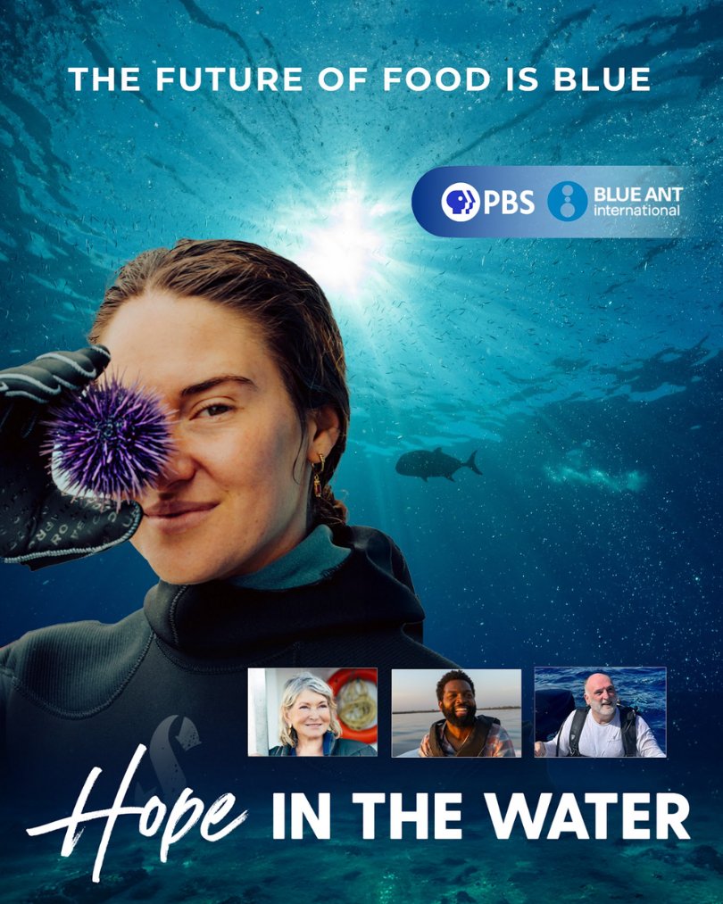 Hope in the Water: Together We can save the oceans – SEATOPIA