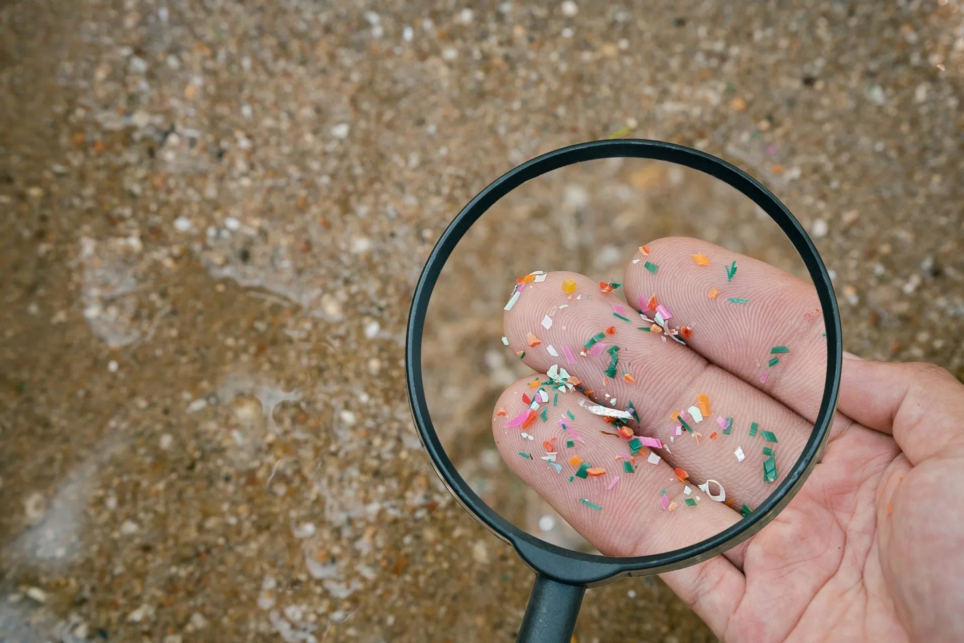 Microplastics in Alaska: Threaten Pristine Seafood Perception & Safety ...