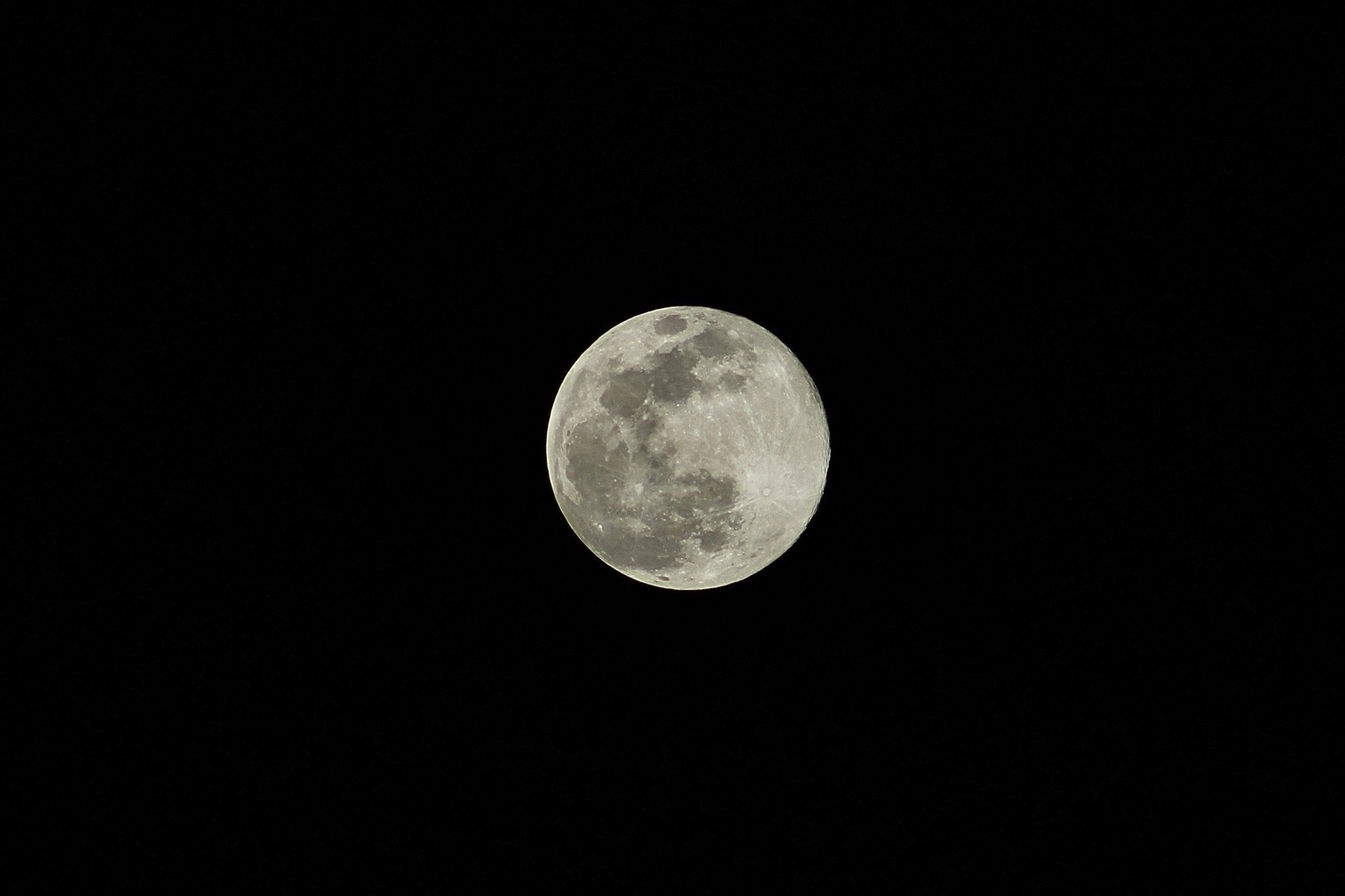 The Wolf Moon - Winter Intelligence – SEATOPIA