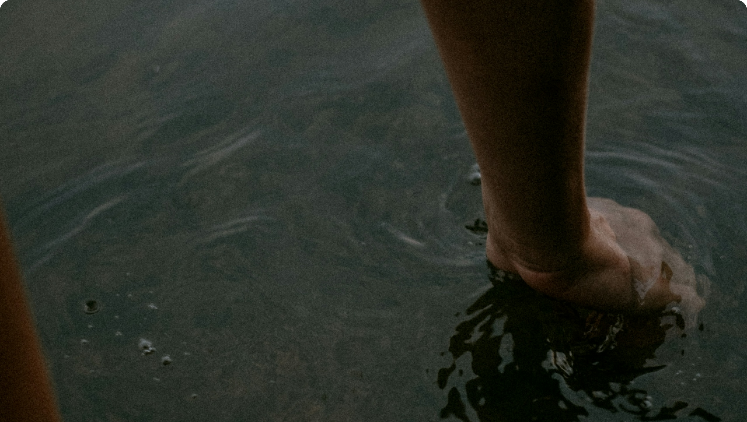 Seatopia | Certified Clean Seafood Delivered – SEATOPIA