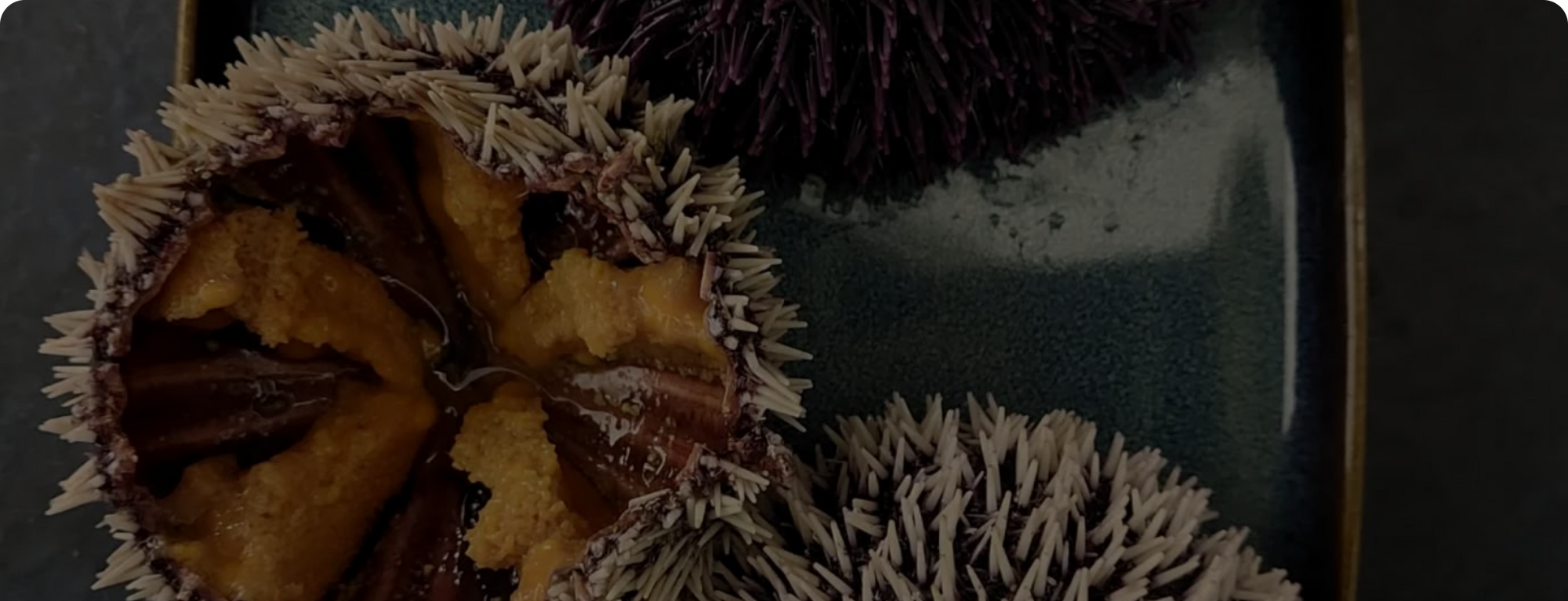 Cooking Seafood at Home. Easy Seafood Recipes – SEATOPIA