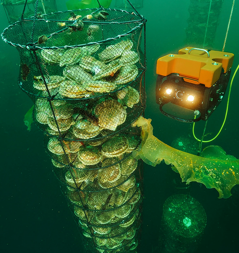 Our Story – SEATOPIA