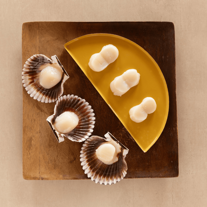 12 Servings: Fish & Shellfish Variety Box – SEATOPIA