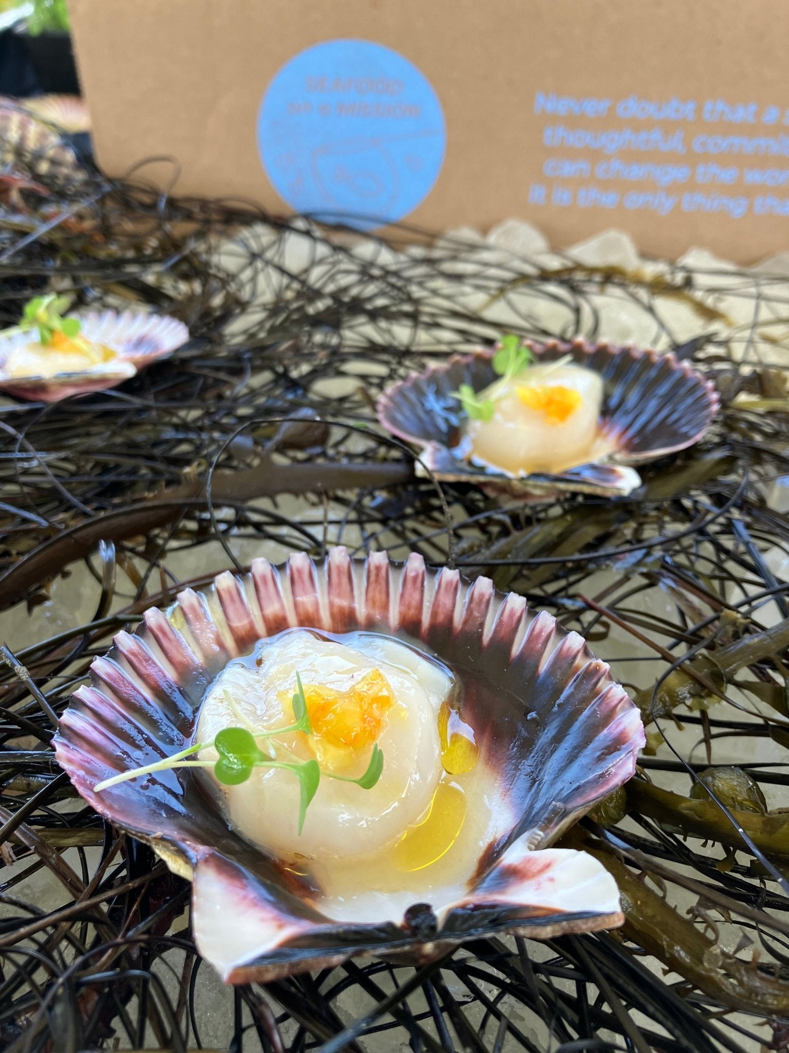 Scallops (~12oz bags) – SEATOPIA