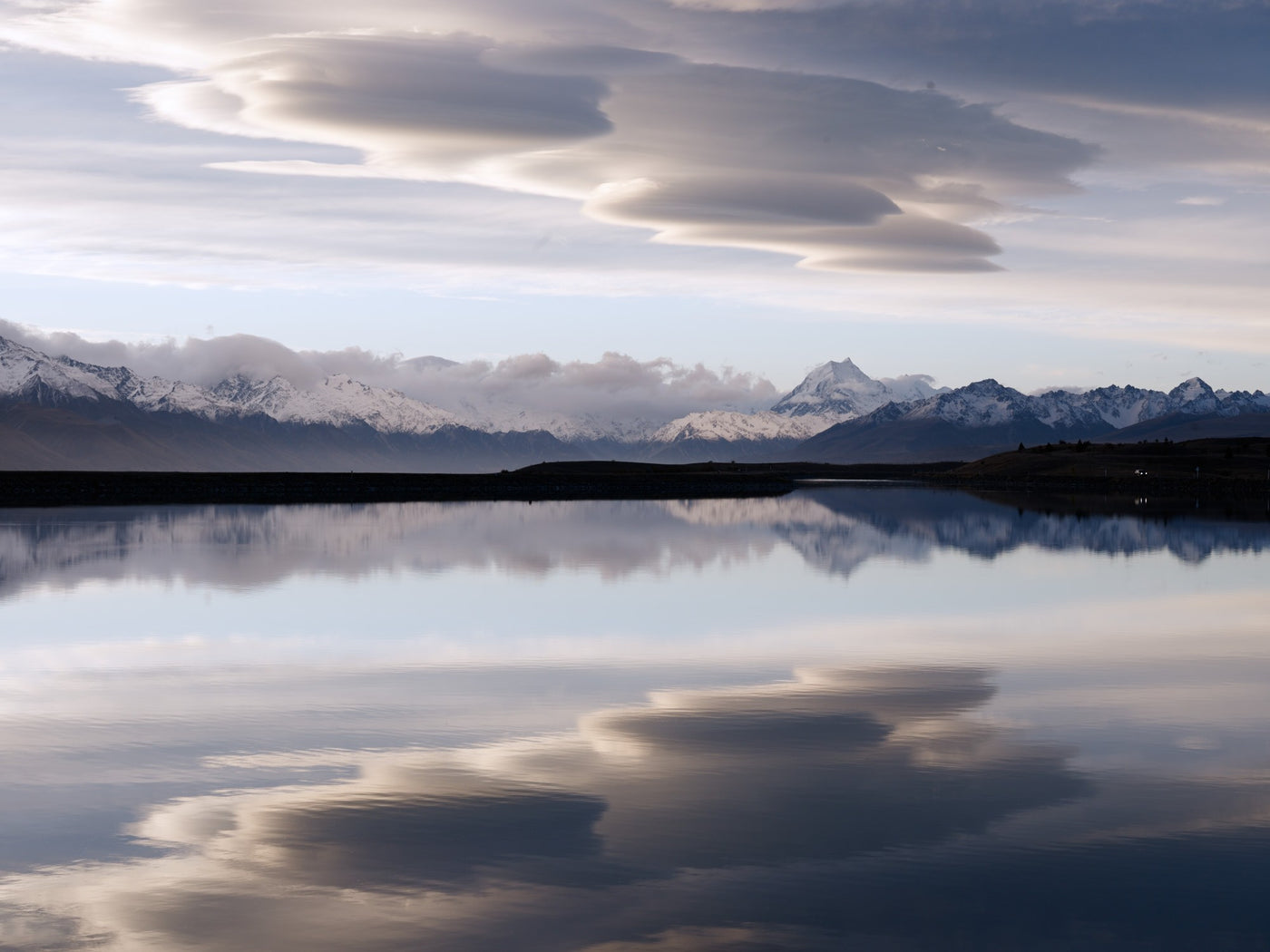 Mt. Cook Alpine King Salmon - New Zealand's Finest – SEATOPIA